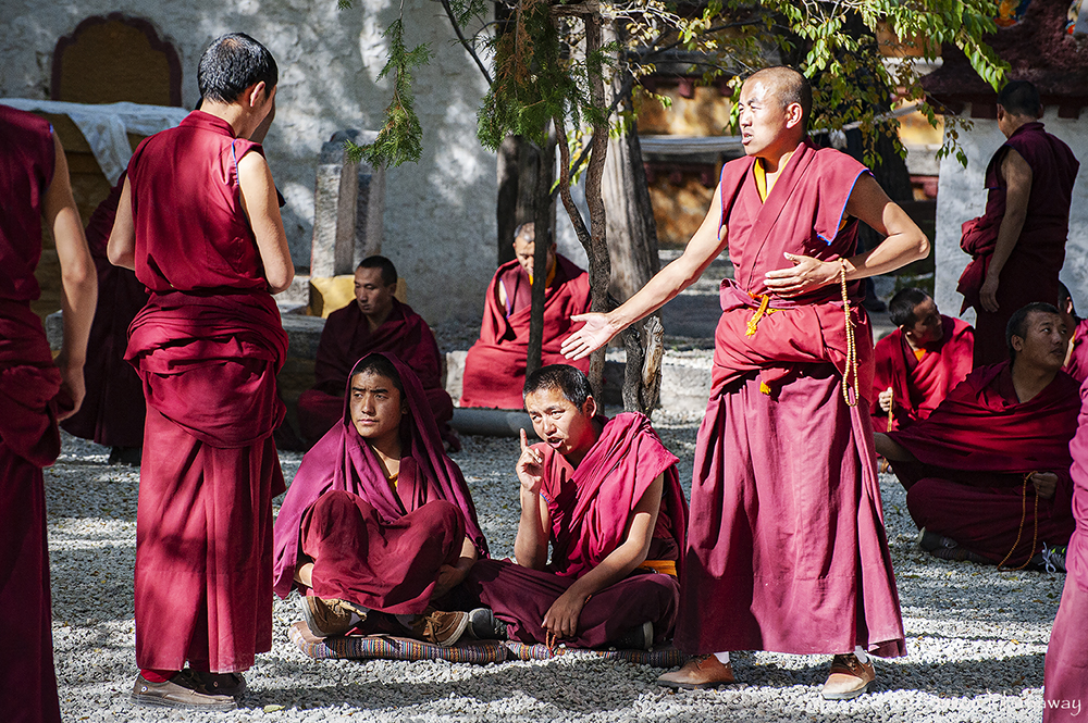 Juzhi Holds Up One Finger – Zen Fools
