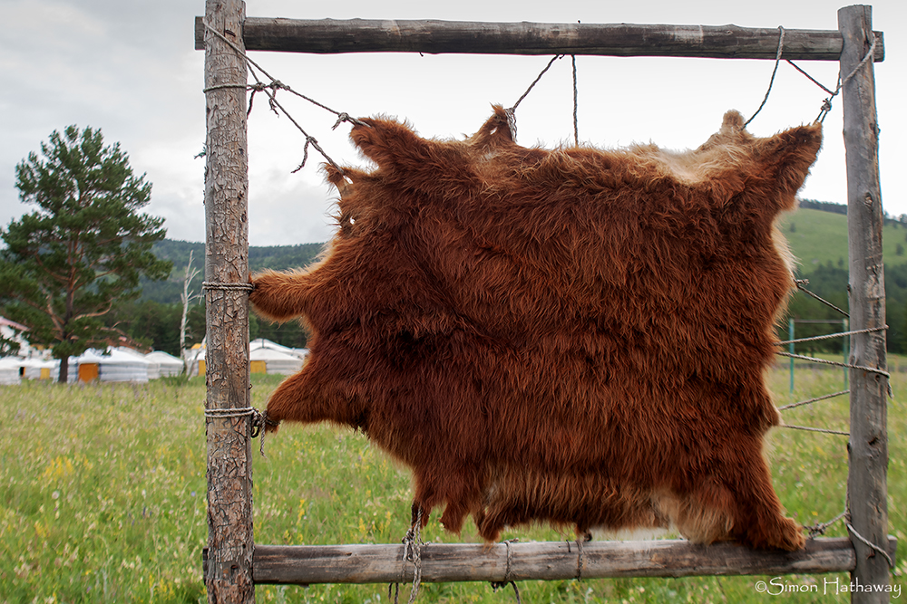 Master Yaksan’s ‘see through even a cow’s hide’ (2) – Zen Fools